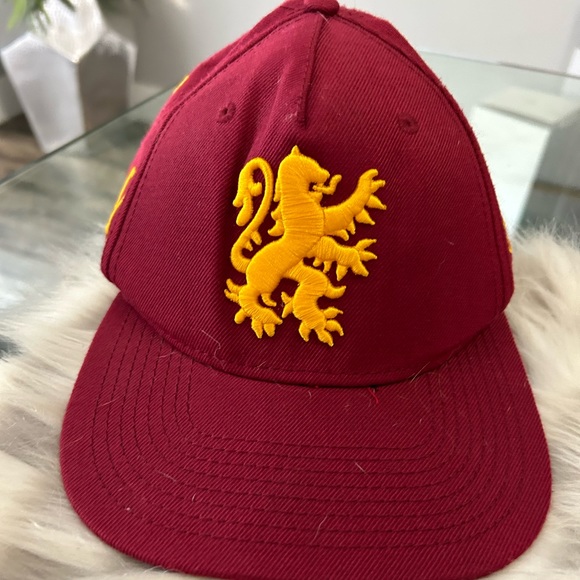 Warner Bros. | Accessories | Harry Potter Gryffindor Varsity Snapback ...